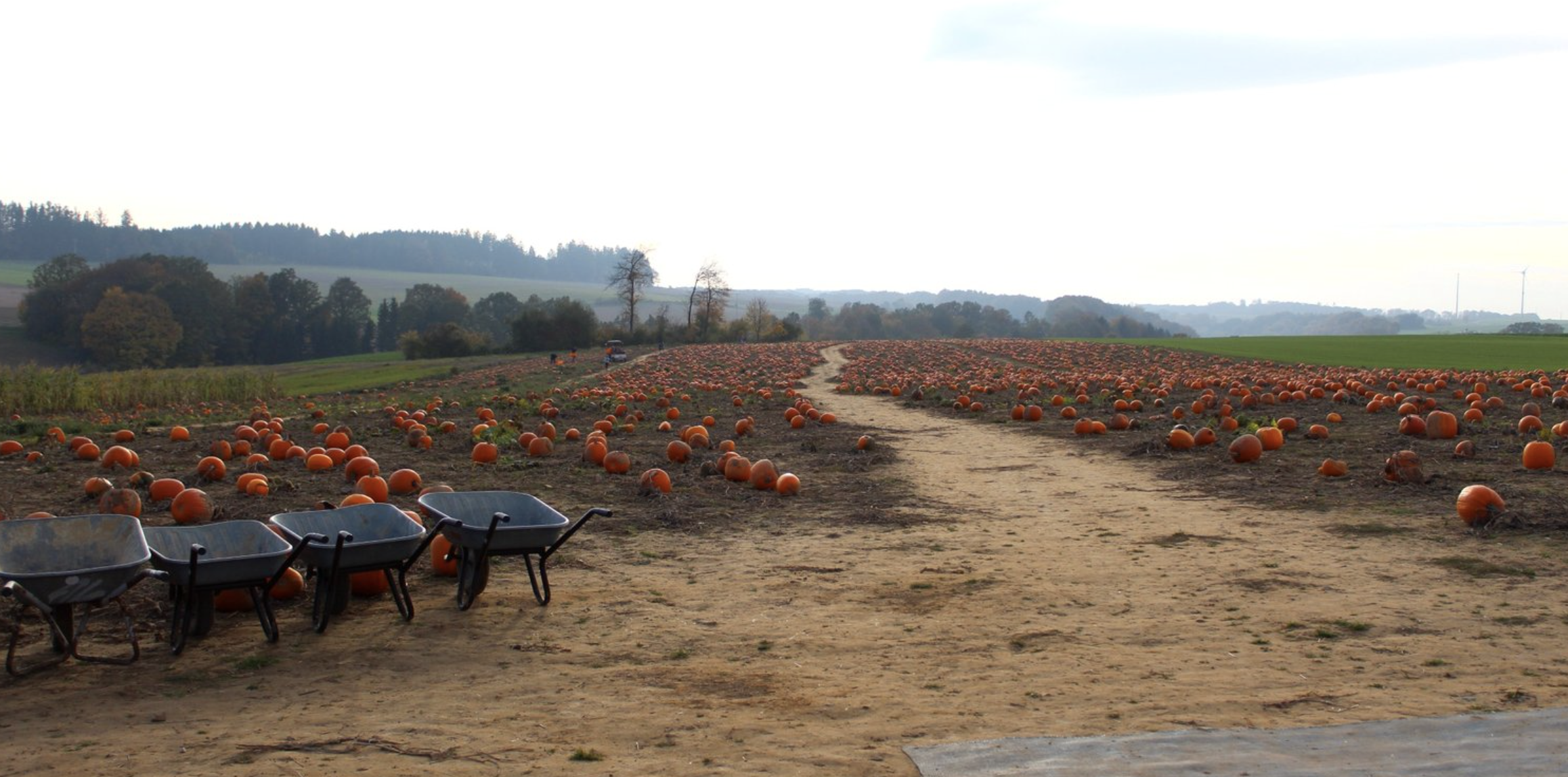 Directions – Jerry's Pumpkin Patch